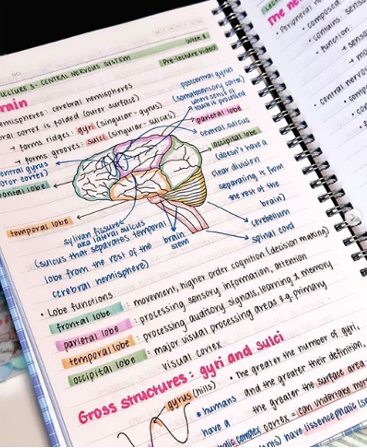 The Art of Aesthetic Note-Taking: Enhancing Creativity and Learning - E ...