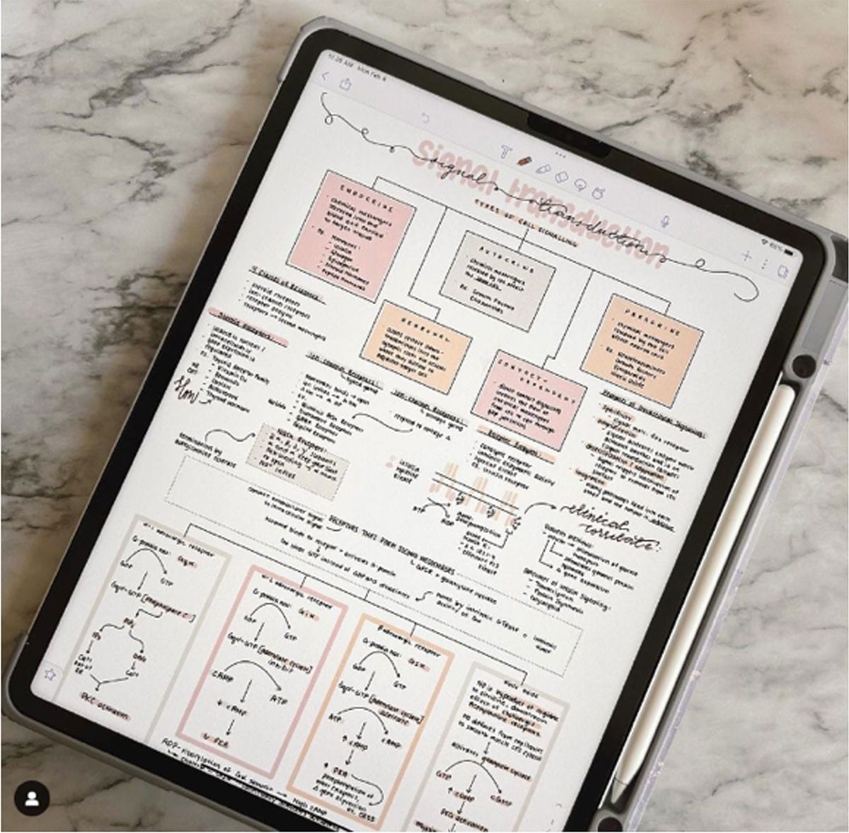 The Art of Aesthetic Note-Taking: Enhancing Creativity and Learning - E ...